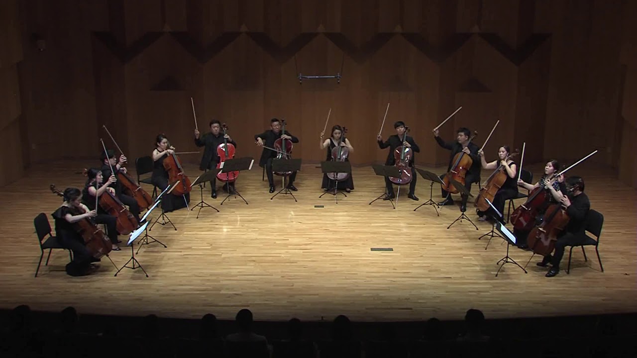 Cellista Cello Ensemble (Korean top 12 cellists) Tchaikovsky 'Swan Lake ...