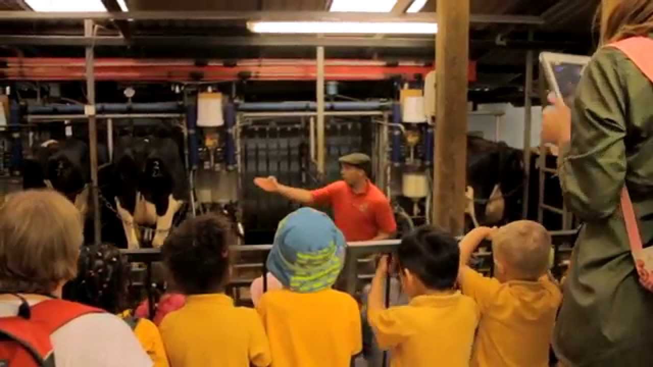 Smithills Open Farm - Bolton, Lancashire - YouTube