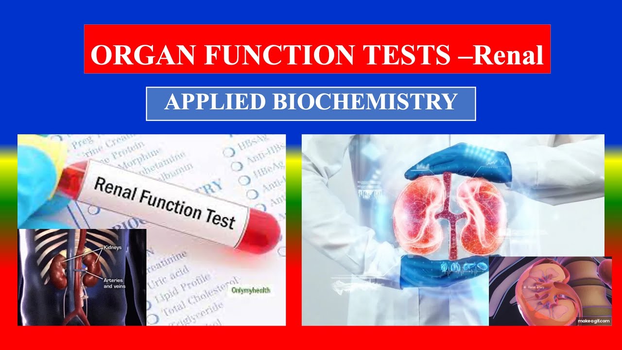 RENAL FUNCTION TESTS - - Applied Biochemistry - For BSC Nursing - YouTube