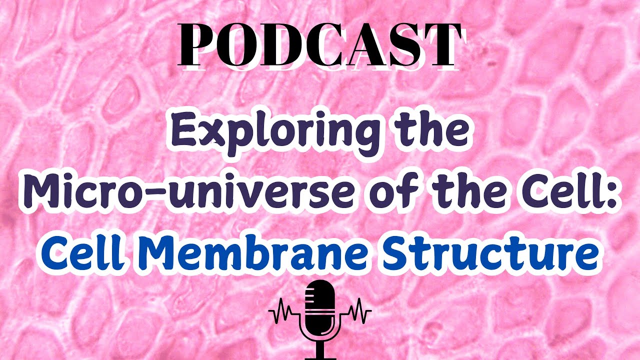 Exploring theMicro-universe of the Cell: Cell Membrane Structure - YouTube