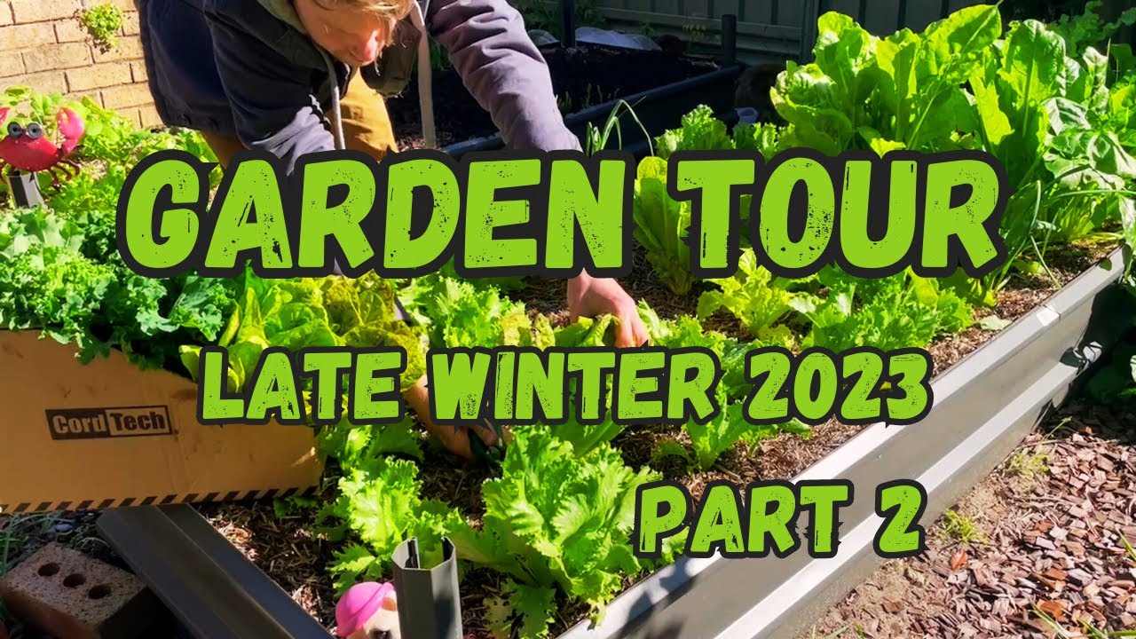 Late Winter Garden Tour 2023 - Part 2 (Perth, Western Australia) - YouTube