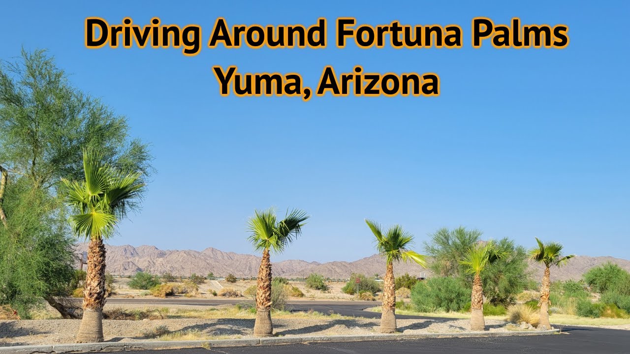 Driving Around Fortuna Palms Yuma Arizona - YouTube