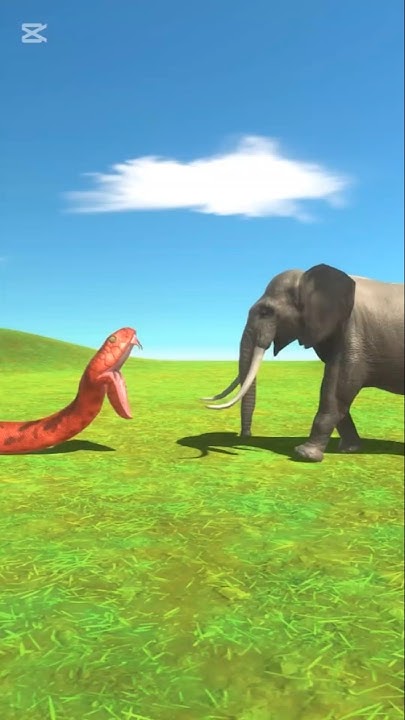 Anaconda vs Elephant #foryou #shortvideo - YouTube