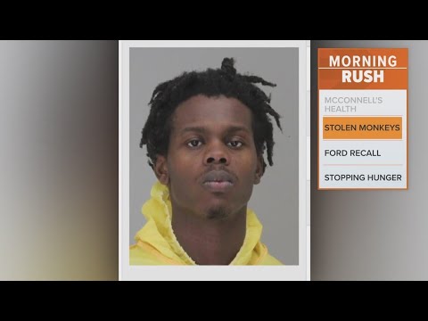 Suspect in Dallas Zoo monkey thefts found incompetent to stand trial ...