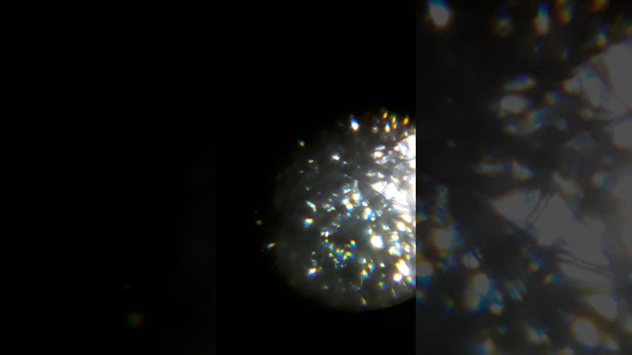 What a piece of carpet looks like under a microscope - YouTube