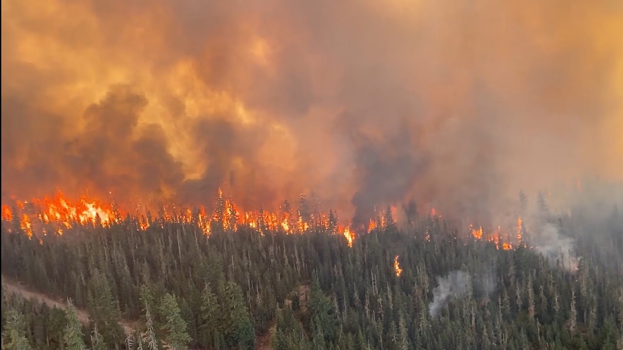 Cedar Creek Fire, North Aerial View 9/2/2022 -Waldo Lake Wilderness up ...