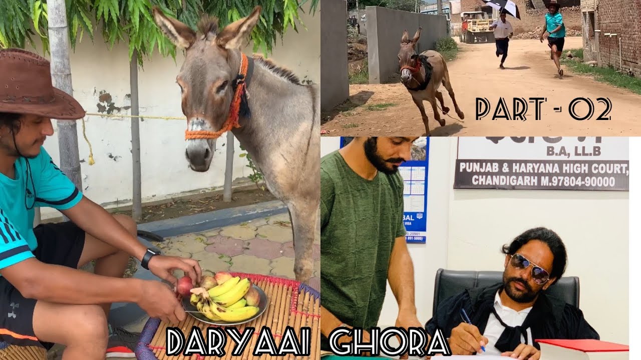 DARYAAI GHORA 🏇🏼 ( ਦਰਿਆਈ ਘੋੜਾ ) PART 02 || Producerdxxx - YouTube