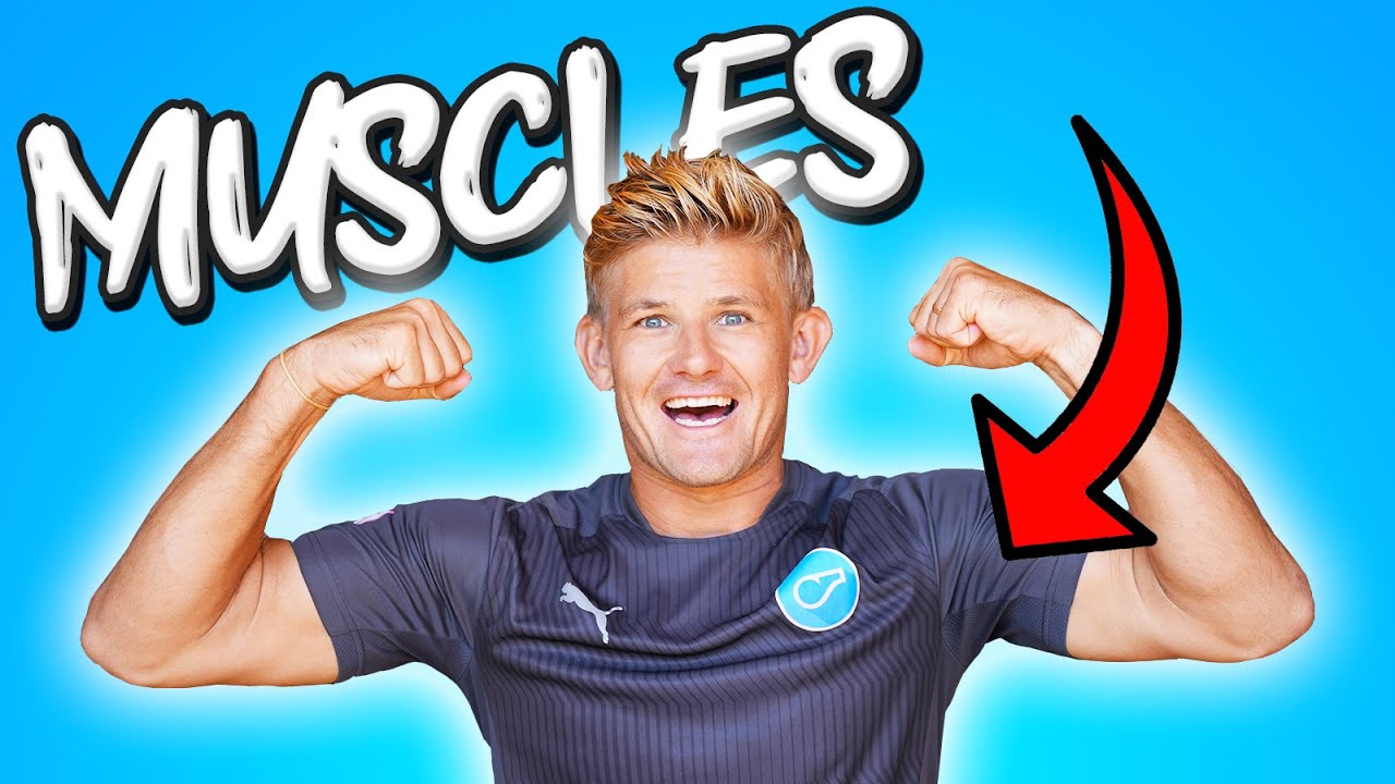 10 Essential Muscles for Body Movement - Learn How Your Body Works ...