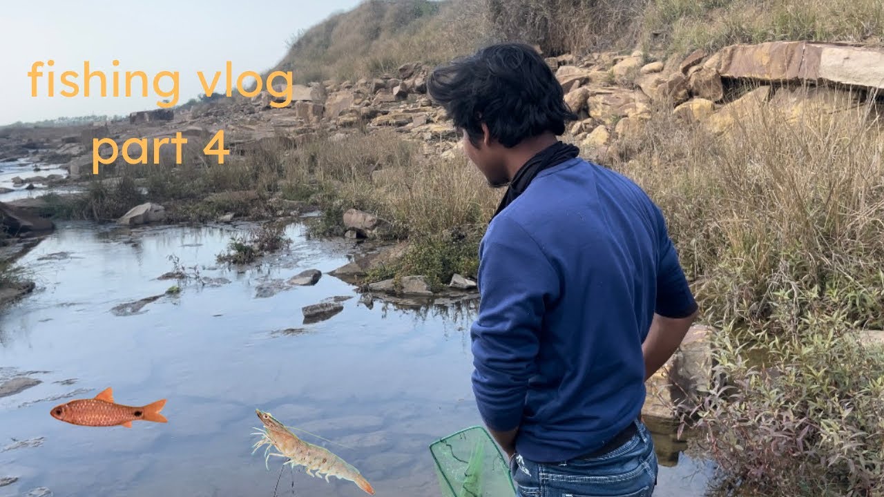 Cast net fishing & wild caught zebra danio 😍 ️||#fishing #riverfishing ...