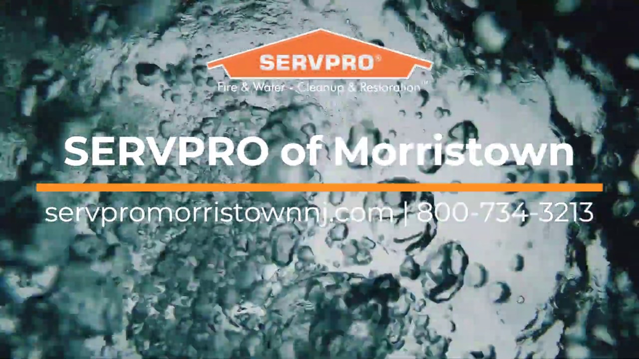 Water Damage Repair Walk-Through | SERVPRO of Morristown - YouTube