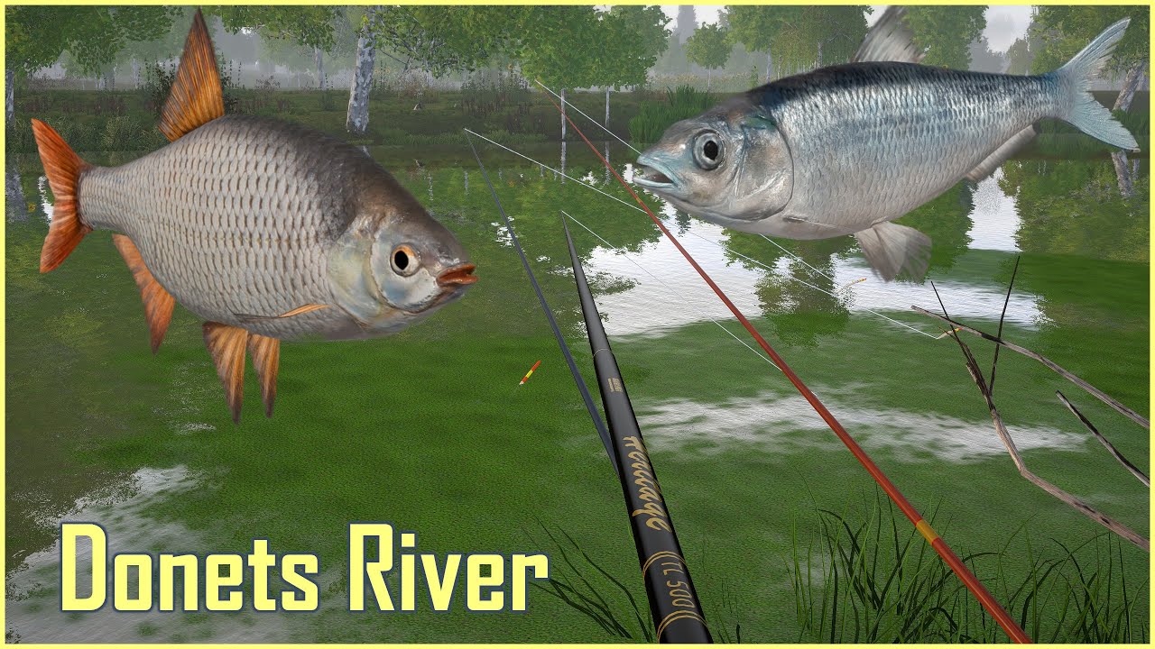 Russian Fishing 4 | Donets River | Taran rf4 SPOT #261 - YouTube