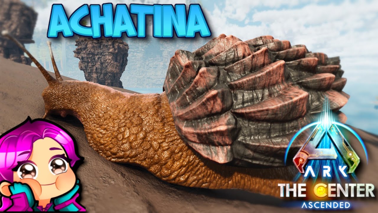 WHERE TO FIND ACHATINA THE CENTER Ark Survival Ascended - YouTube