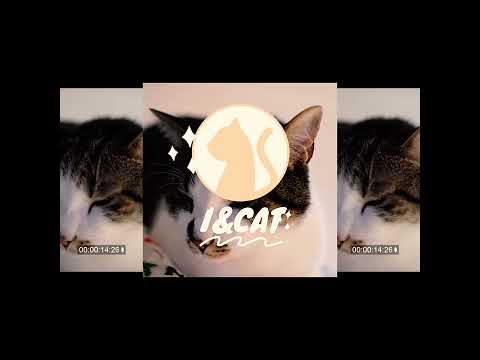 I CAT - YouTube