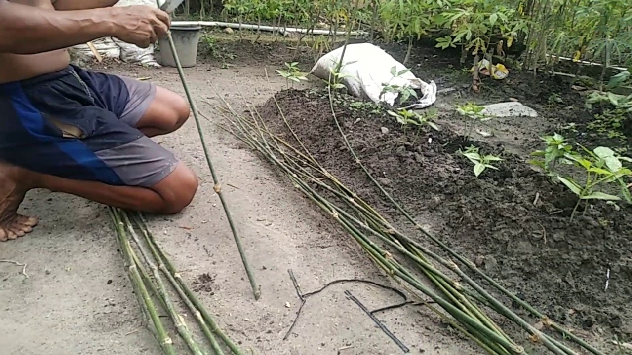 Cara meluruskan joran pancing bambu gaes - YouTube