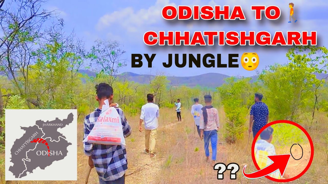 Odisha To Chhatisgarh 🚶 By Jungle 😳| ଓଡିଶା ନୁ ଛତିଶଗଡ ଗଳୁଁ ଚାଲି ଚାଲି | Jungle Vlog | Sk yadav ...