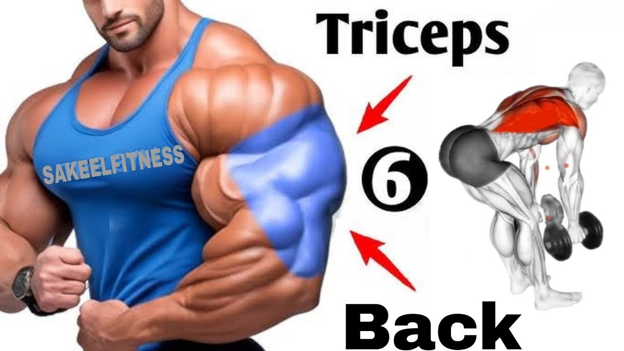 bigger back and triceps workout| tricep workout with dumbbells |back ...