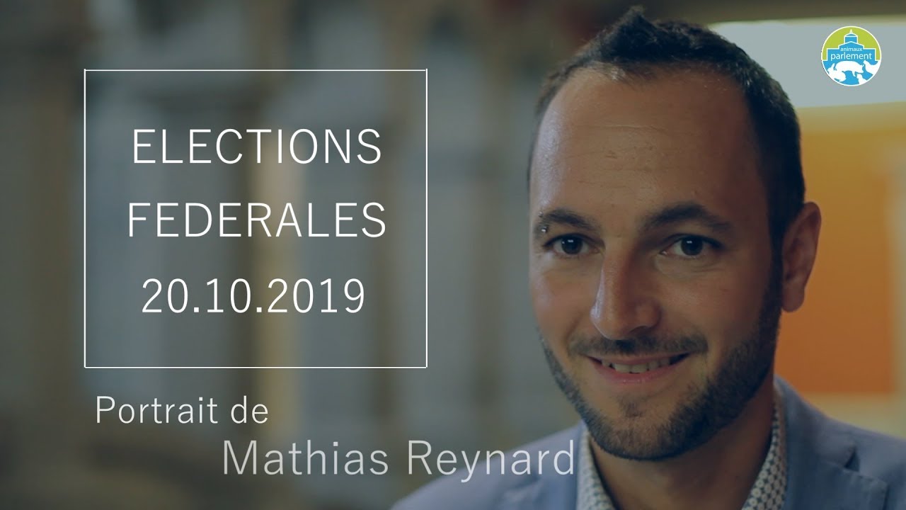 Elections Fédérales 2019 : Portrait de Mathias Reynard (PS - VS ...