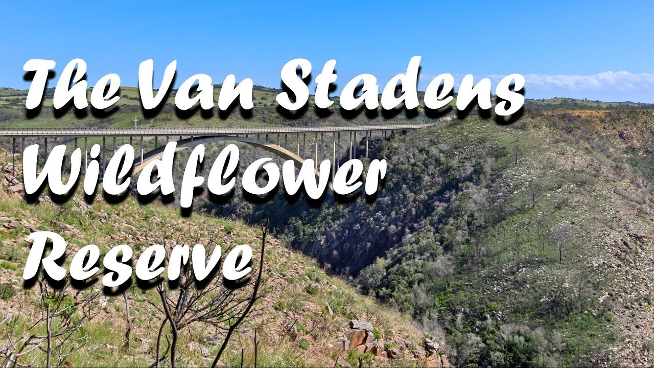 South Africa This is why i love you The Van Stadens Wildflower Reserve ...