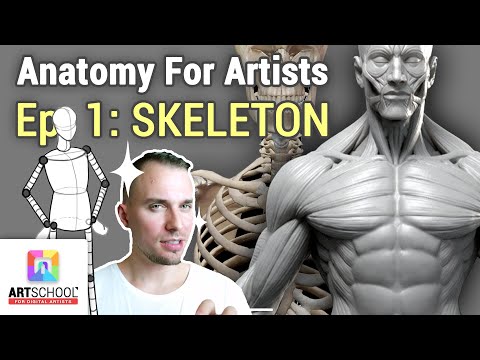 🎓 ANATOMY FOR ARTISTS - SKELETON 101