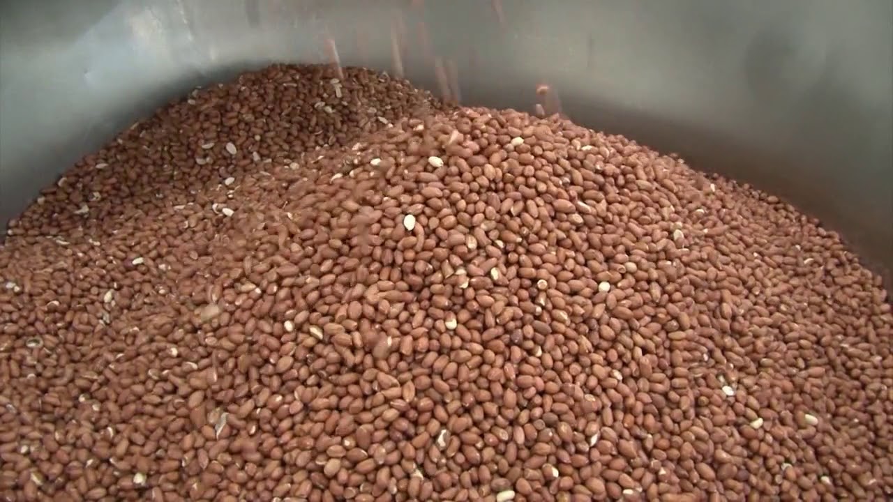 EeZeePaste, production and in the field - YouTube