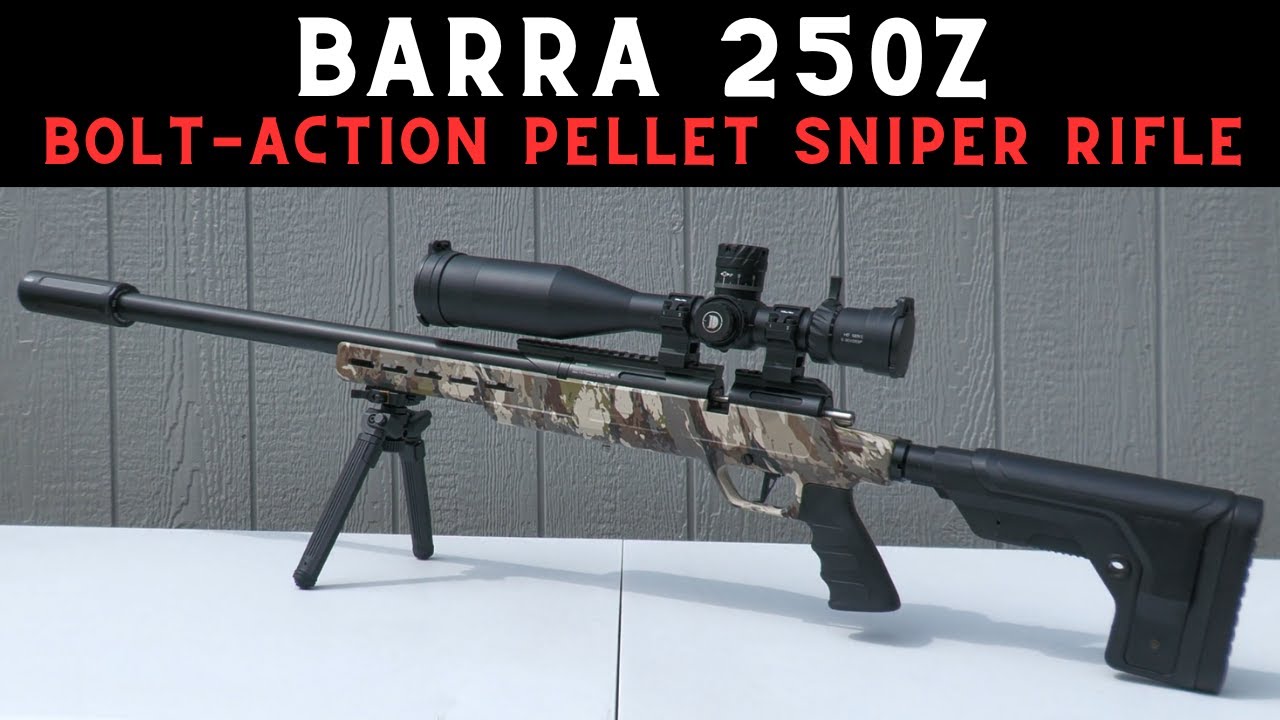 More Fun Than A 22 Long Rifle? - The Barra 250z (A Backyard Plinkers ...