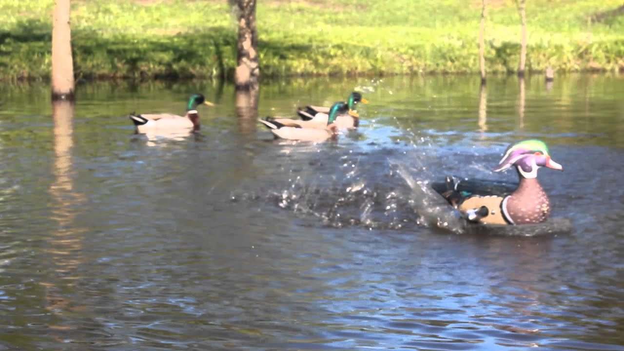 WONDERDUCK WOOD DUCK with Forward Rotating Motors - YouTube