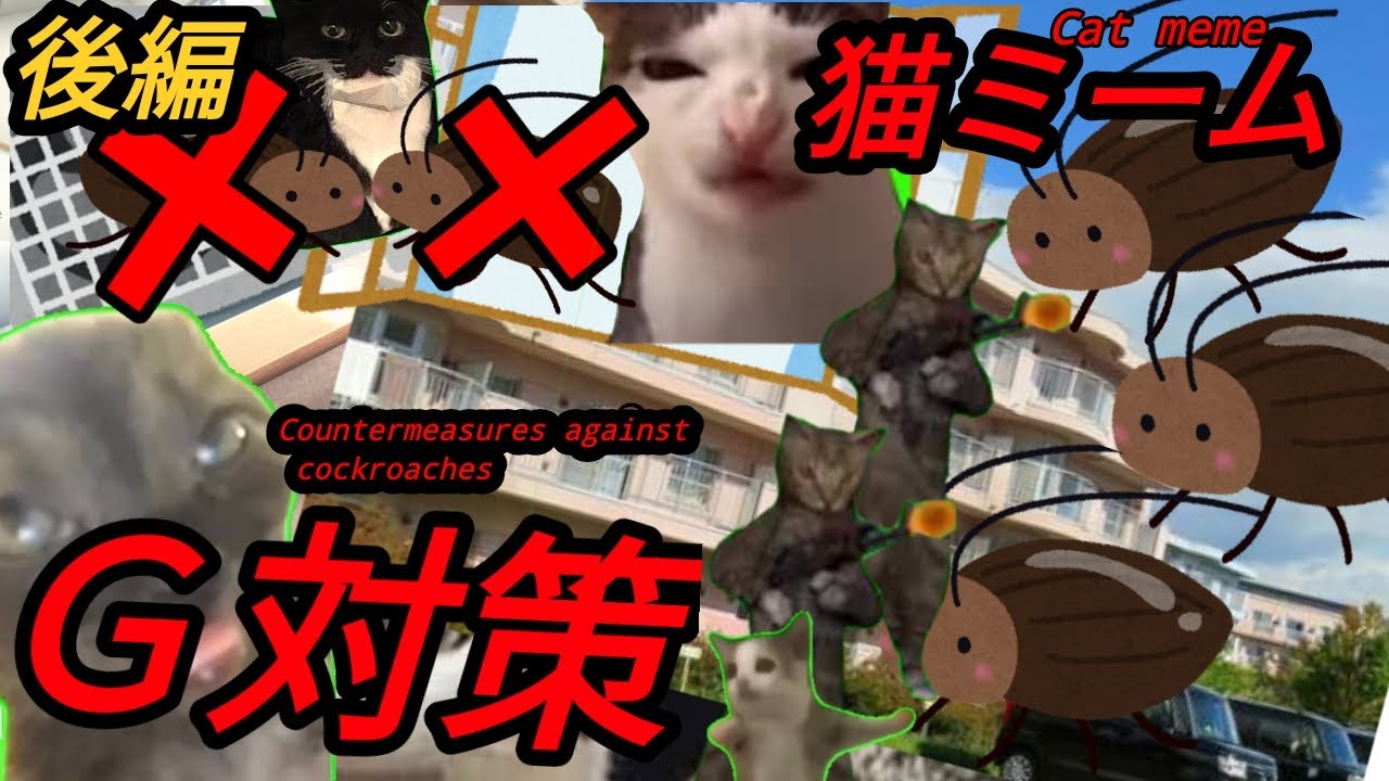 ゴキブリの侵入経路を猫ミームで解説(後編) Cat Memes Explain Cockroach Infestation Routes ...