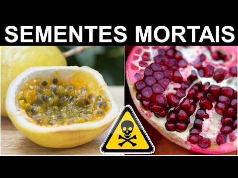 As 10 Frutas com Sementes Mais PERIGOSAS e MORTAIS do Mundo! 4k