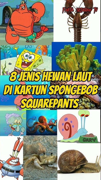 8 jenis hewan laut di kartun Spongebob Squarepants#amazon#animals#spongebob#faktamenarik# ...