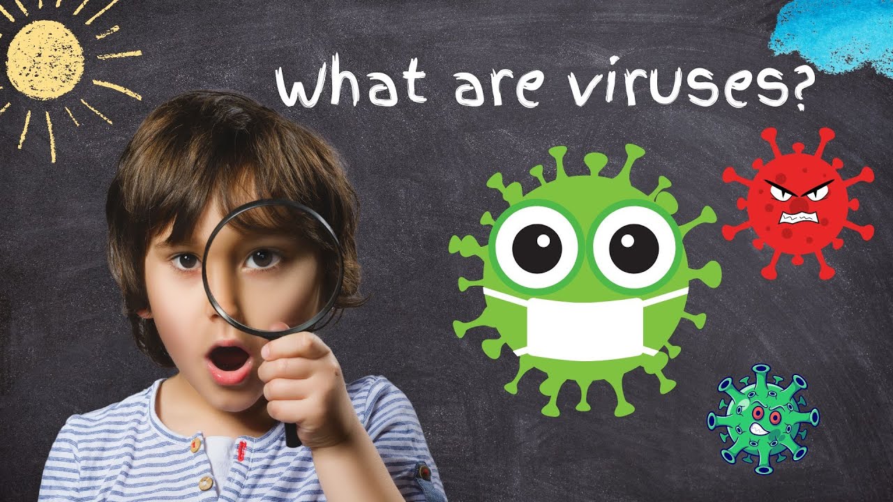 What is a Virus? | Structure of a Virus | How virus causes infection ...