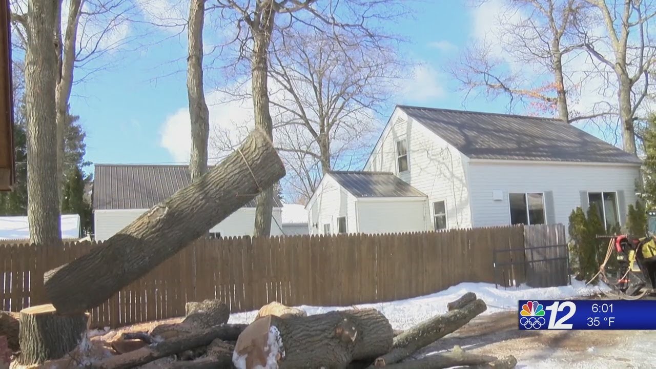 Sawdust in Snowflakes 02-26-2021 - YouTube