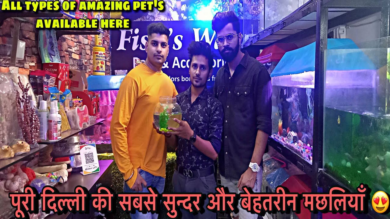 Best Fish Shop In Delhi Fish Aquarium Shop In Delhi Garib Vlogger best-fish-shop-in-delhi-fish-aquarium-shop-in-delhi-garib-vlogger
