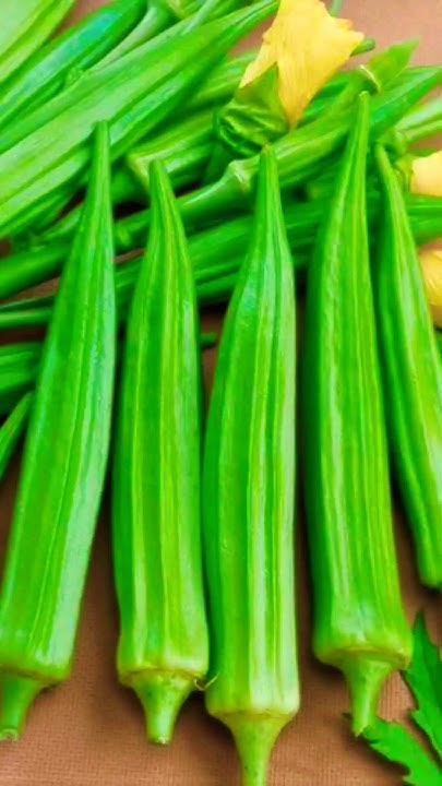 Okra Odyssey: Top 13 Varieties for Your Garden - YouTube