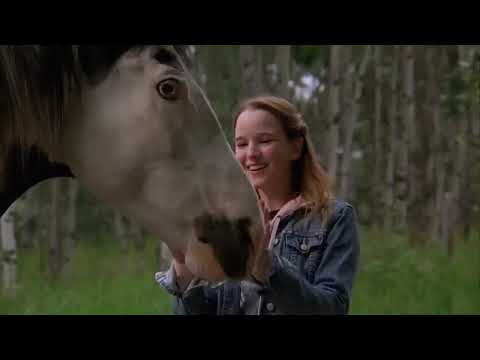 moondance alexander - YouTube