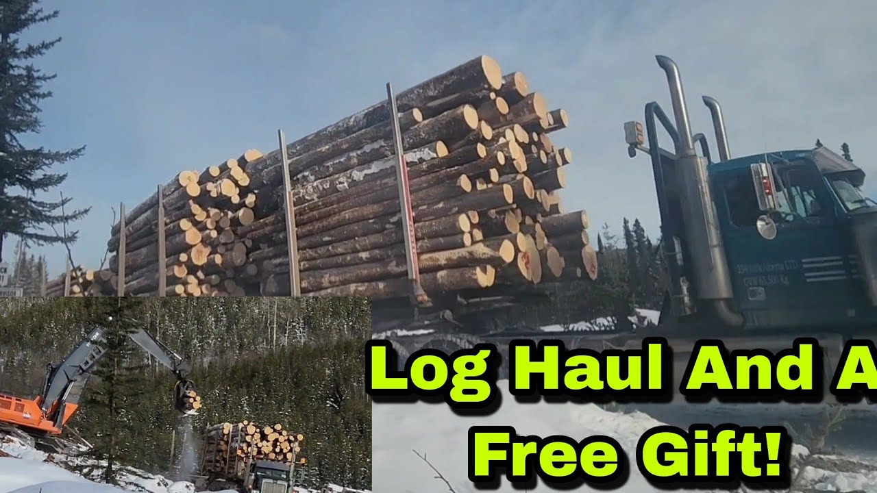 Log Haul And Free Gift From Local Logging Crew! - YouTube