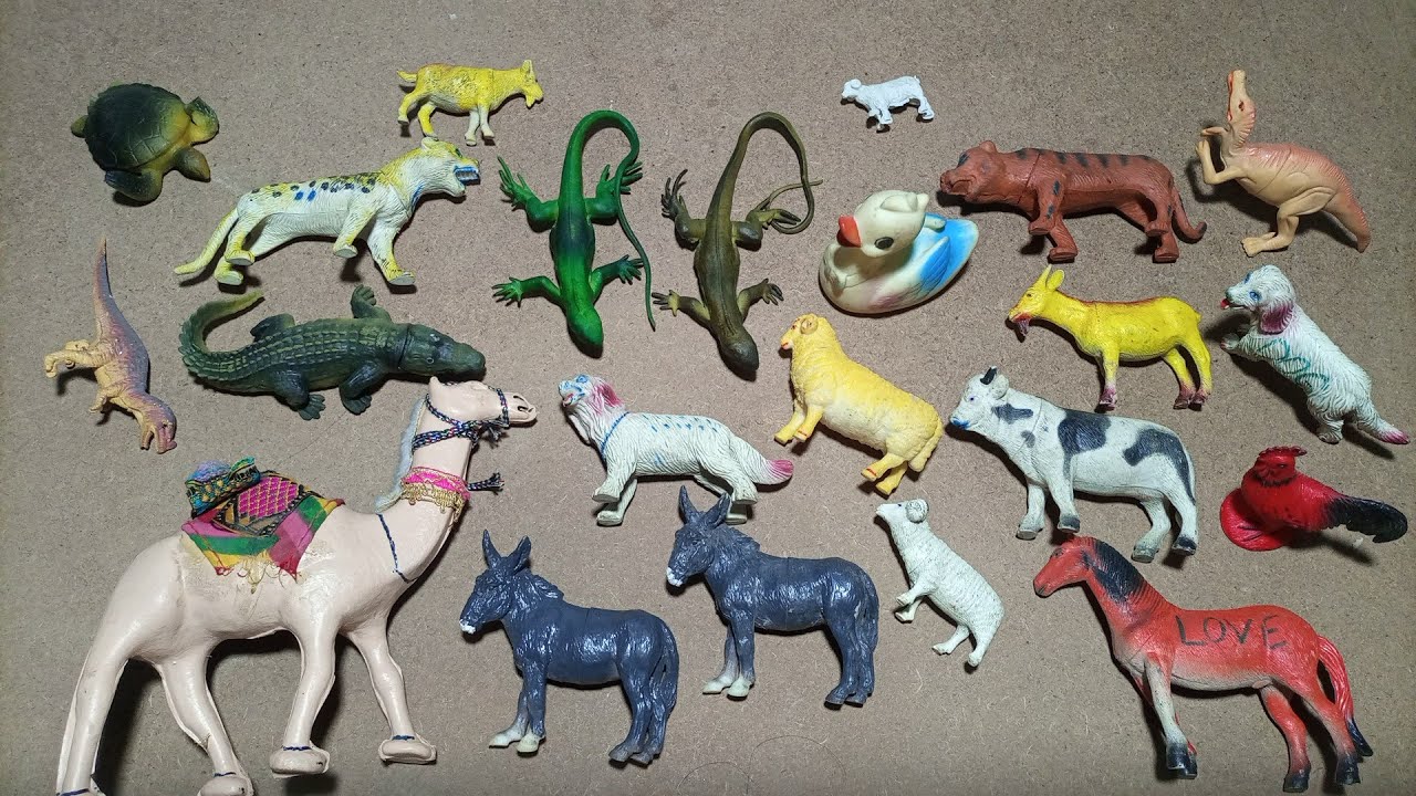 farm animal | very nice camel goat loin tiger duck dog donkey lizard ...