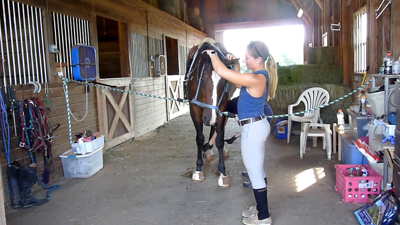 Casey Ear Scritches - YouTube