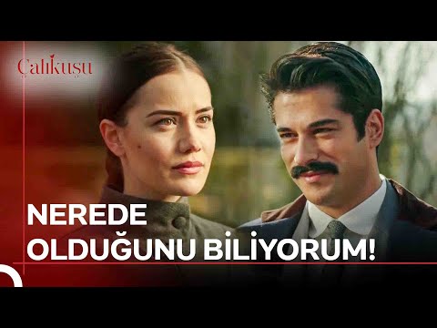 Bize Zarar Verecek Hiçbir Şey Yapmadım Feride! | Çalıkuşu 15. Bölüm