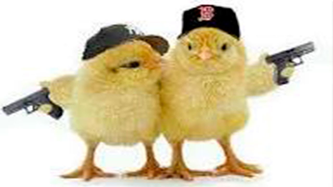 el WEBOS GANO LA GENERACION - YouTube