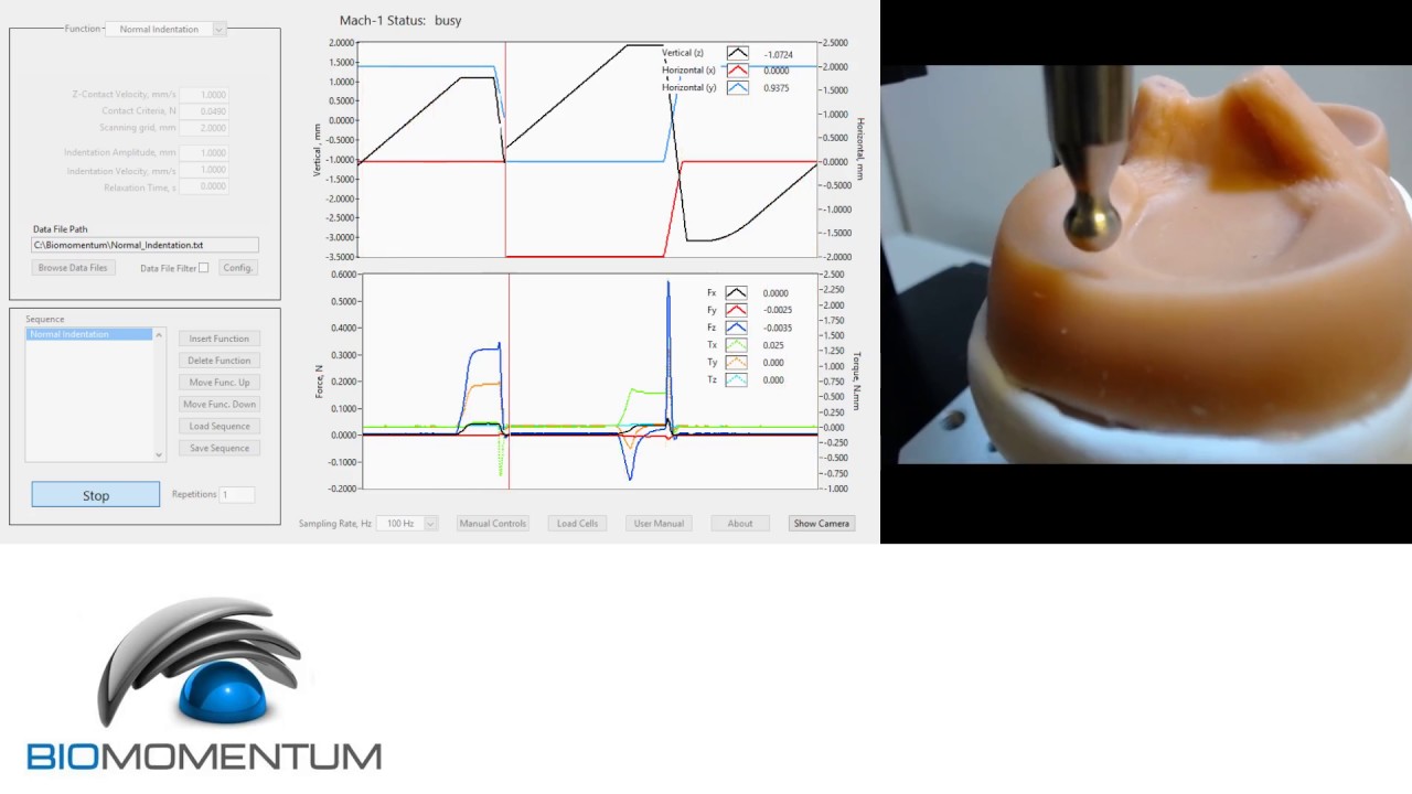 Normal Indentation - YouTube