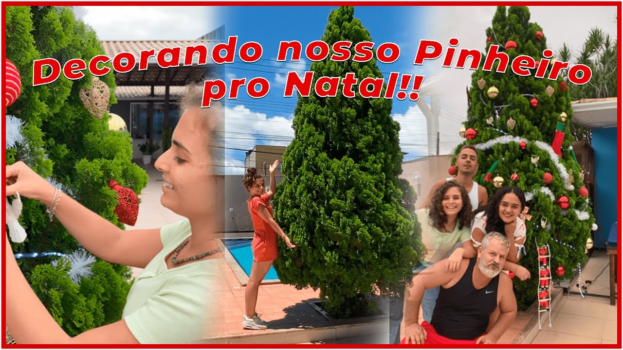 DECORANDO MEU PINHEIRO NATURAL DE NATAL🎄🎄 - YouTube
