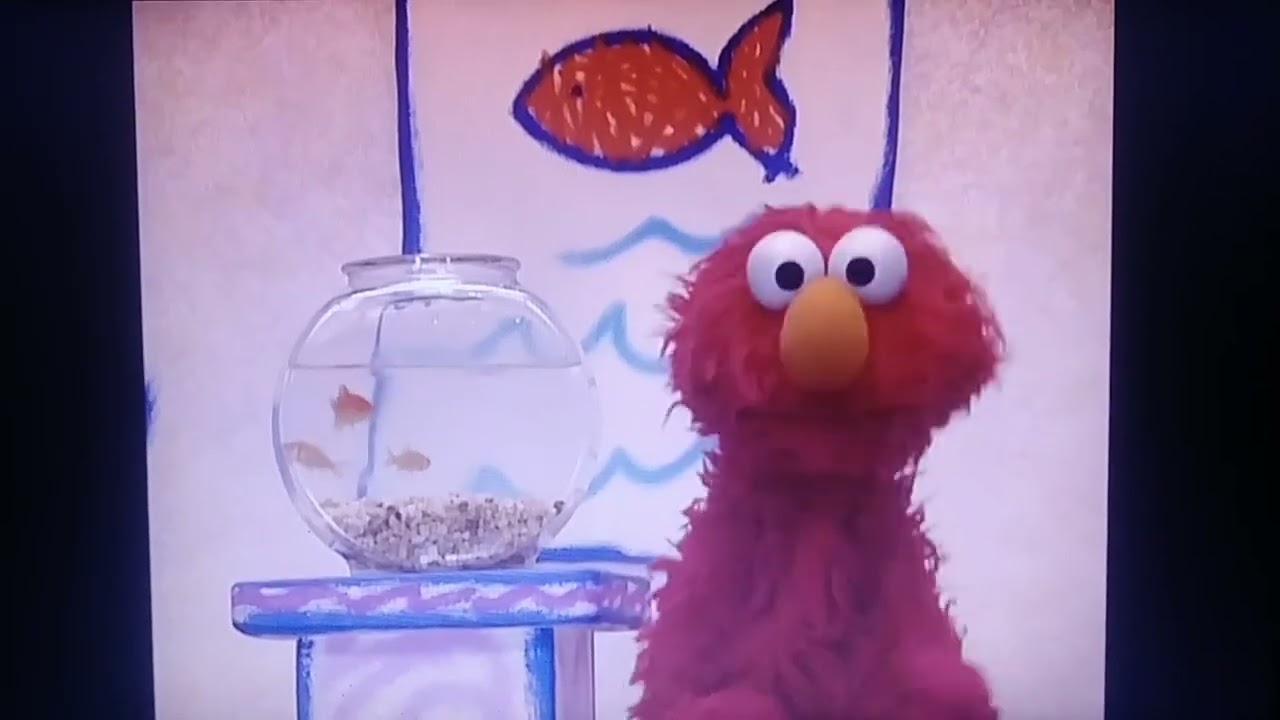 Elmo's World Dorothy's Families Question - YouTube