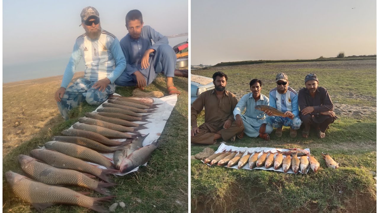 Tarbela dam Afghan basti ka shikar | Date 27 Oct 2023 | Honey fishing ...
