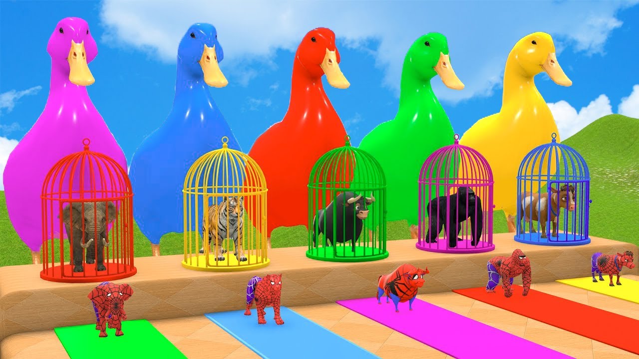 Long Slide Game With Elephant Gorilla Buffalo Hippopotamus Tiger 3d ...