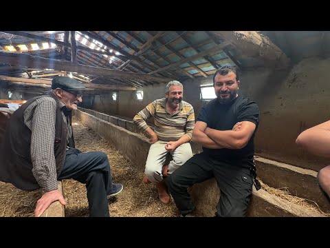 BUZALARI KAYMAKTAN ALDIK