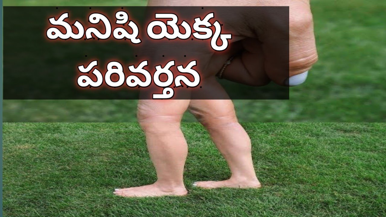 Human Evolution in Telugu | మనిషి యెక్క పరివర్తన | Evolution Of Human ...