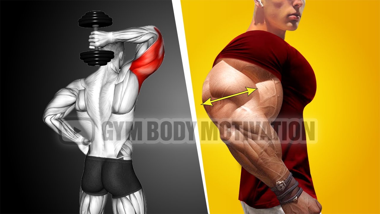 7 Tricep Exercises for MASSIVE Arms - YouTube