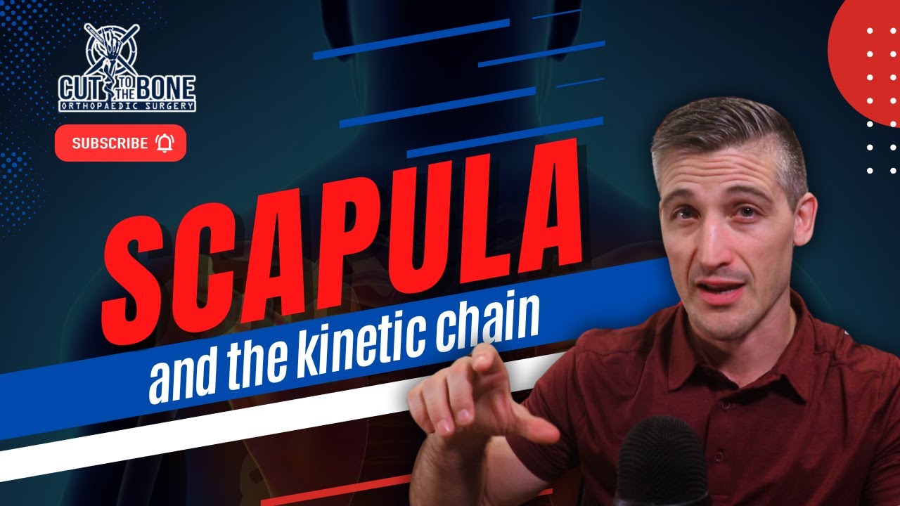 Scapula and the Kinetic Chain: What Every Athlete Needs to Know! - YouTube