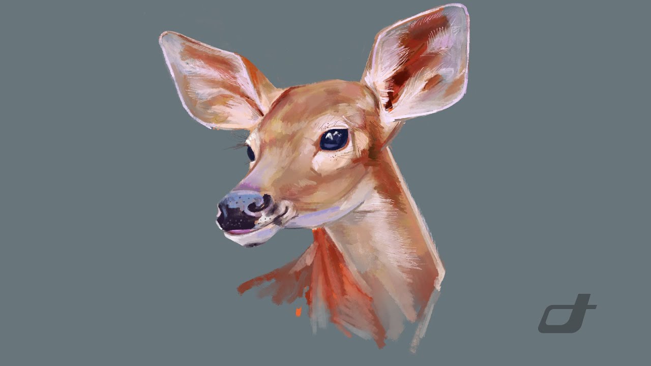 Digital Art Showcase: Creating a #deer #drawing on iPad with #procreate ...