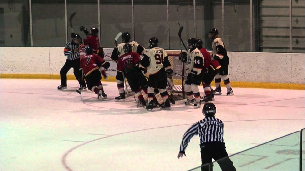 20120412 MJ-AA LFG2 Leaside Flames 4 Streetsville Tigers 2.mp4 - YouTube